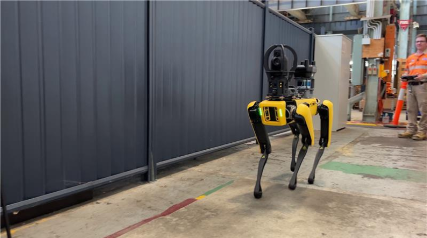 Robodog off leash for first field trials | Powerlink